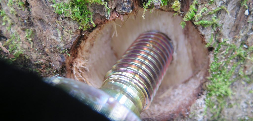 Be Smart About Tree Attachments - Adventure Park Insider