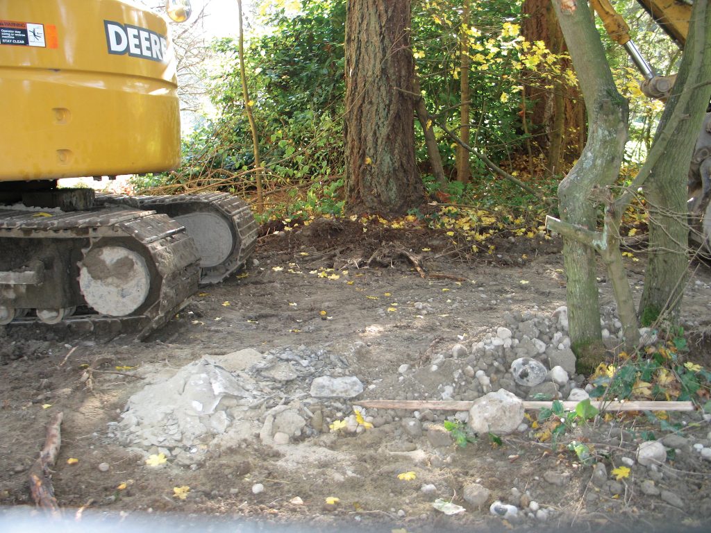 Managing Trees: 10 Key Ideas - Adventure Park Insider