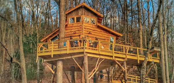 Living in the Trees - Adventure Park Insider
