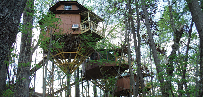 jun19-living-in-trees-07 - Adventure Park Insider