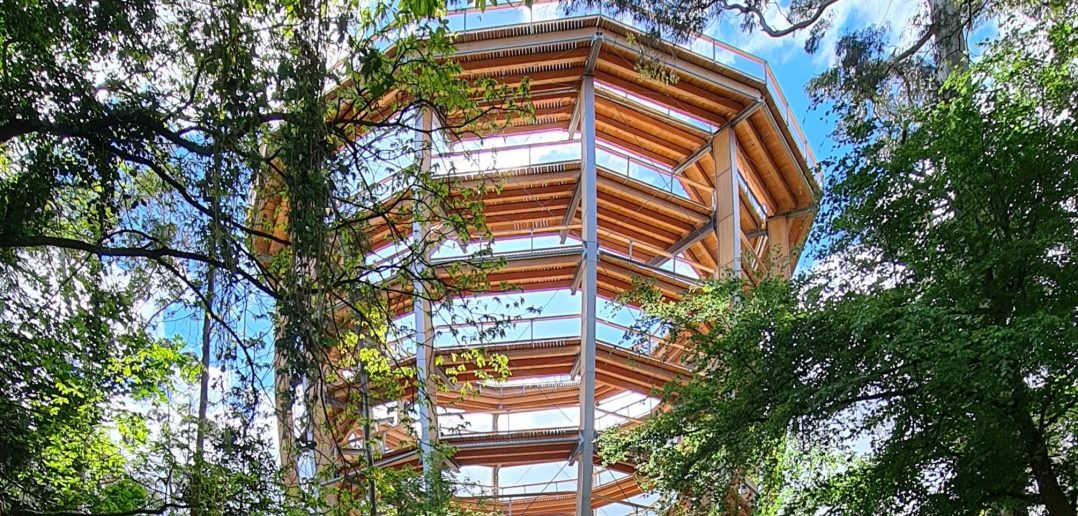 Accessible Treetop Walkway and Tower Opens in Ireland - Adventure Park ...