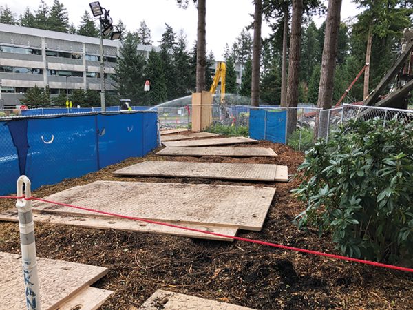 Protect Your Trees During Construction - Adventure Park Insider
