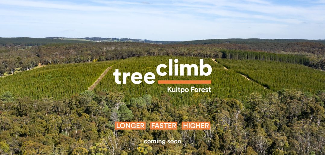 New TreeClimb Kuitpo Forest Park to Open for Summer in Australia ...