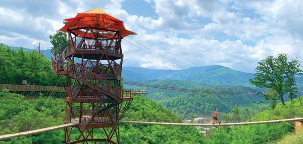 Building Bridges - Adventure Park Insider